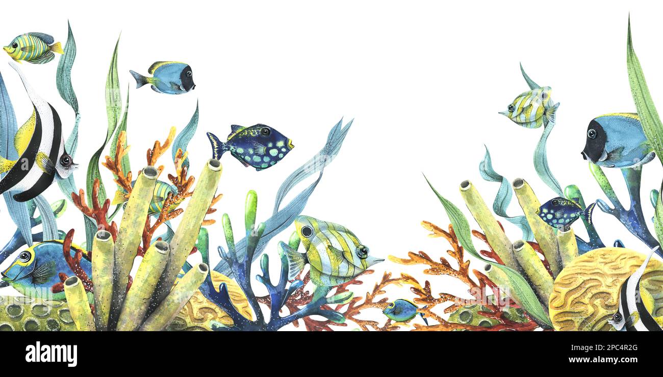 Bright reef fish with corals, sea sponges and algae. Watercolor ...