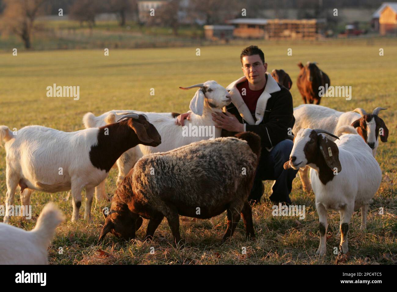 ** ADVANCE FOR MONDAY, JAN. 8 ** Farmer Jim Lechner strokes one of his ...