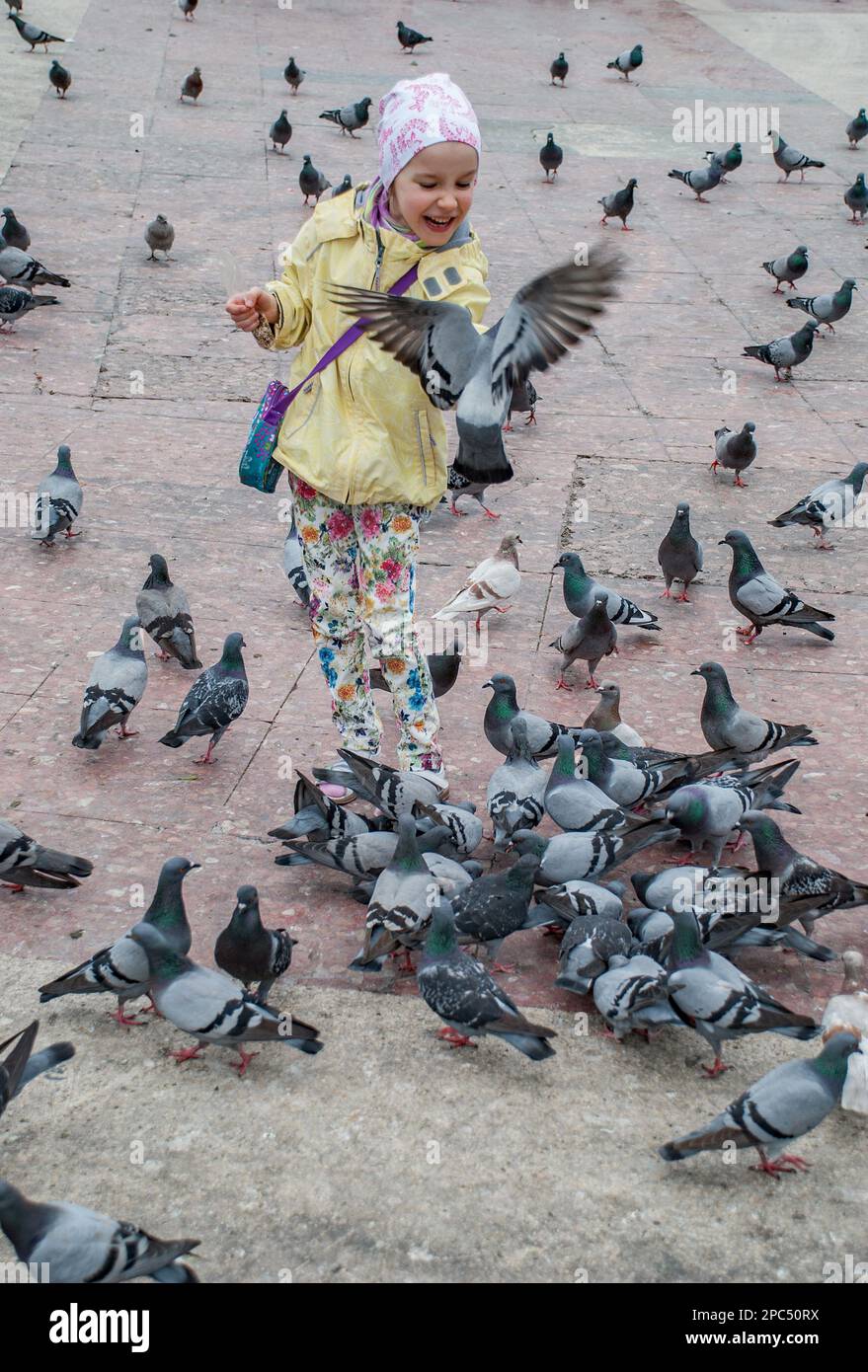 A delighted child interacting with a flock of urban, feral pigeons with ...