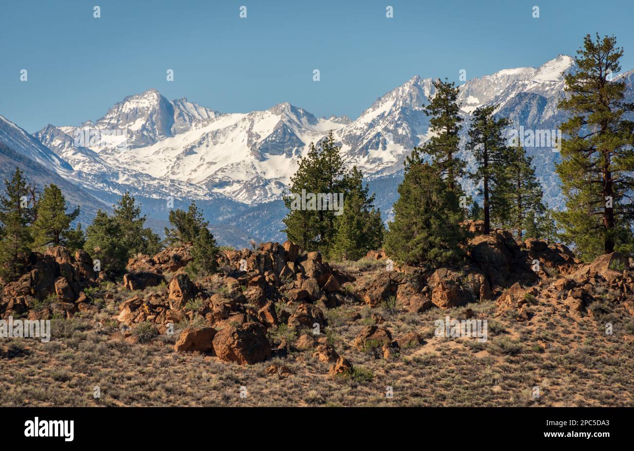 Mono-Inyo National Forest in California Stock Photo - Alamy