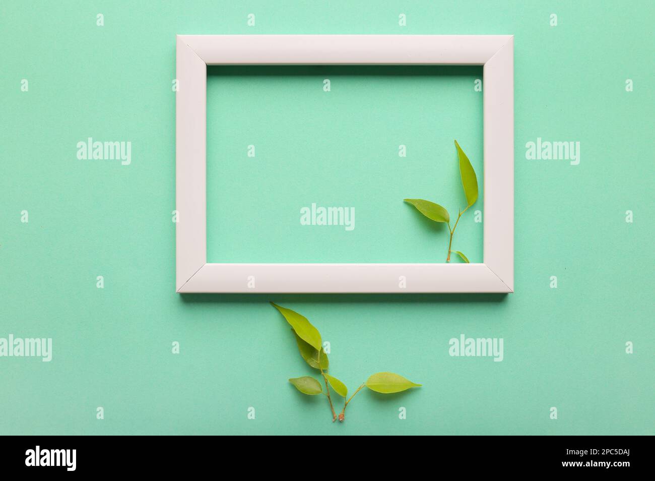 White frame and sprout on a fresh green background.. Mock up photo ...