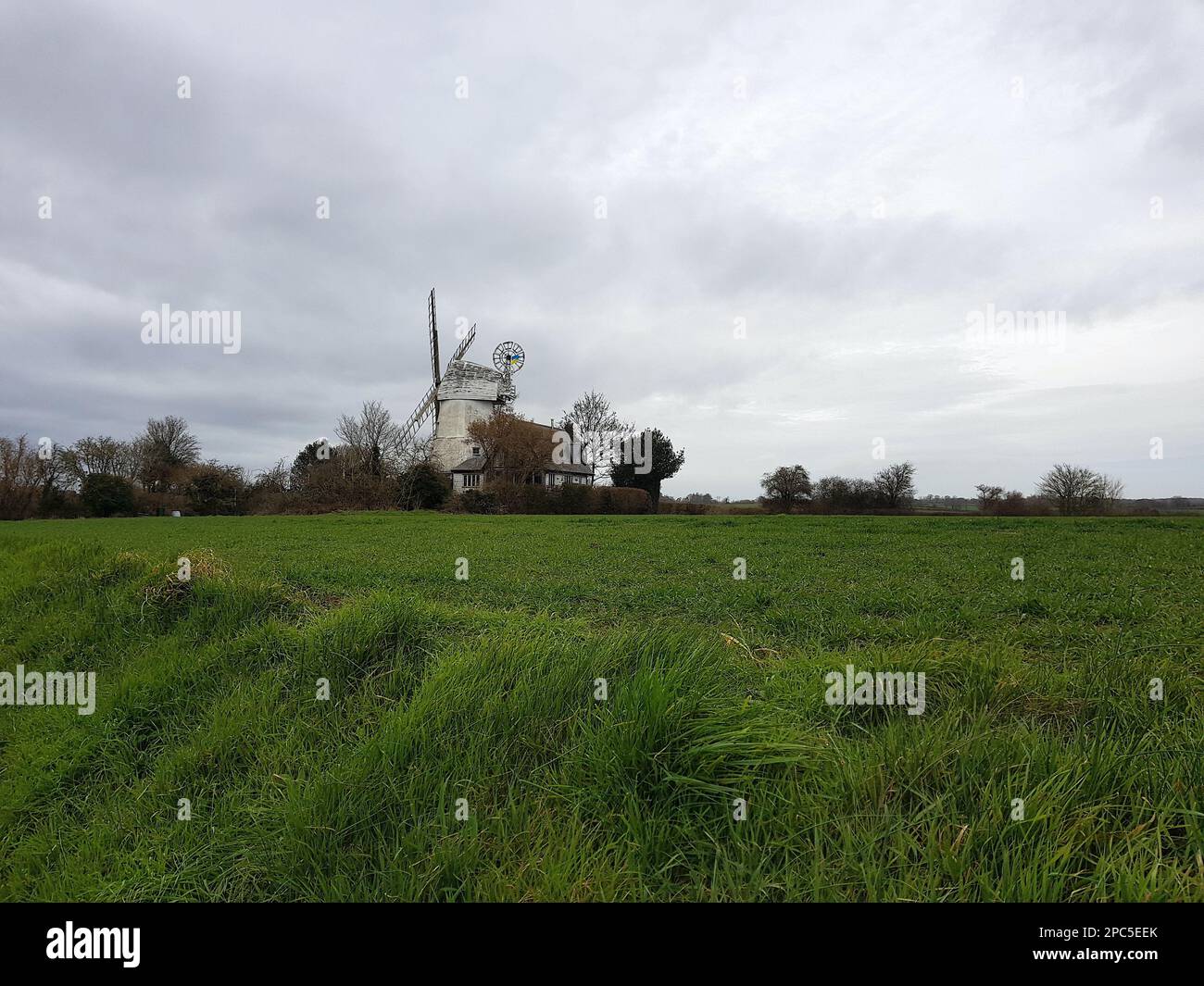 A field in spring with an old windmill in the distance Stock Photo - Alamy