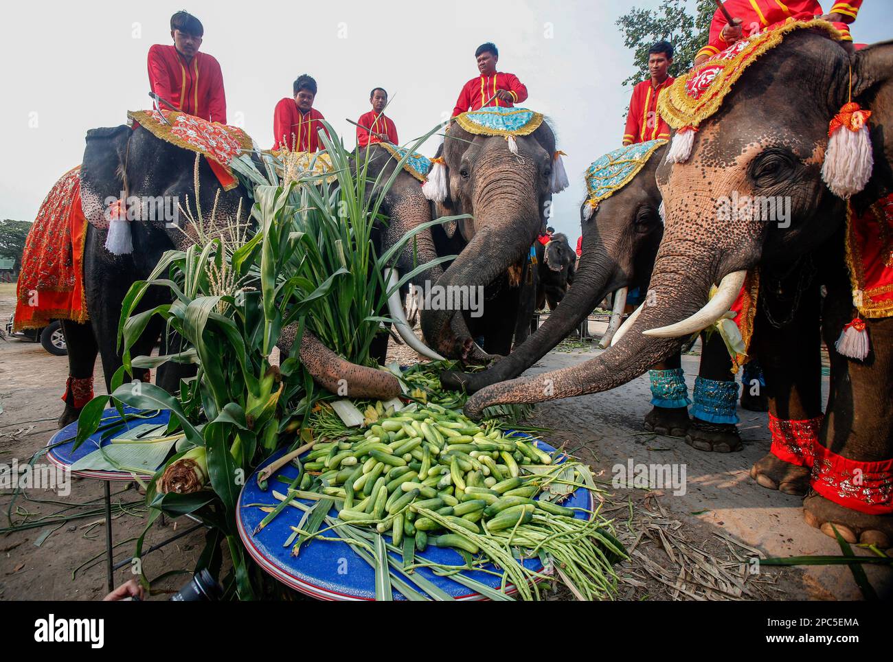 Ayutthaya, Thailand. 13th Mar, 2023. Elephants enjoy a "buffet" of ...