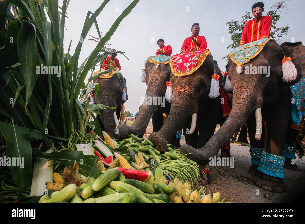 Ayutthaya, Thailand. 13th Mar, 2023. Elephants enjoy a "buffet" of ...