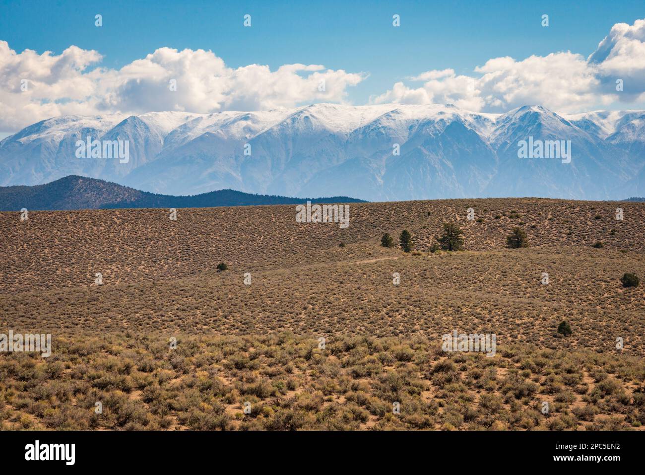 Mono-Inyo National Forest in California Stock Photo - Alamy