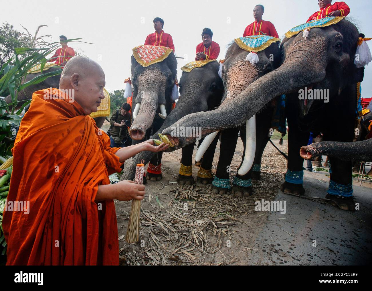 Ayutthaya, Thailand. 13th Mar, 2023. A Buddhist monk feeds fruit to an ...