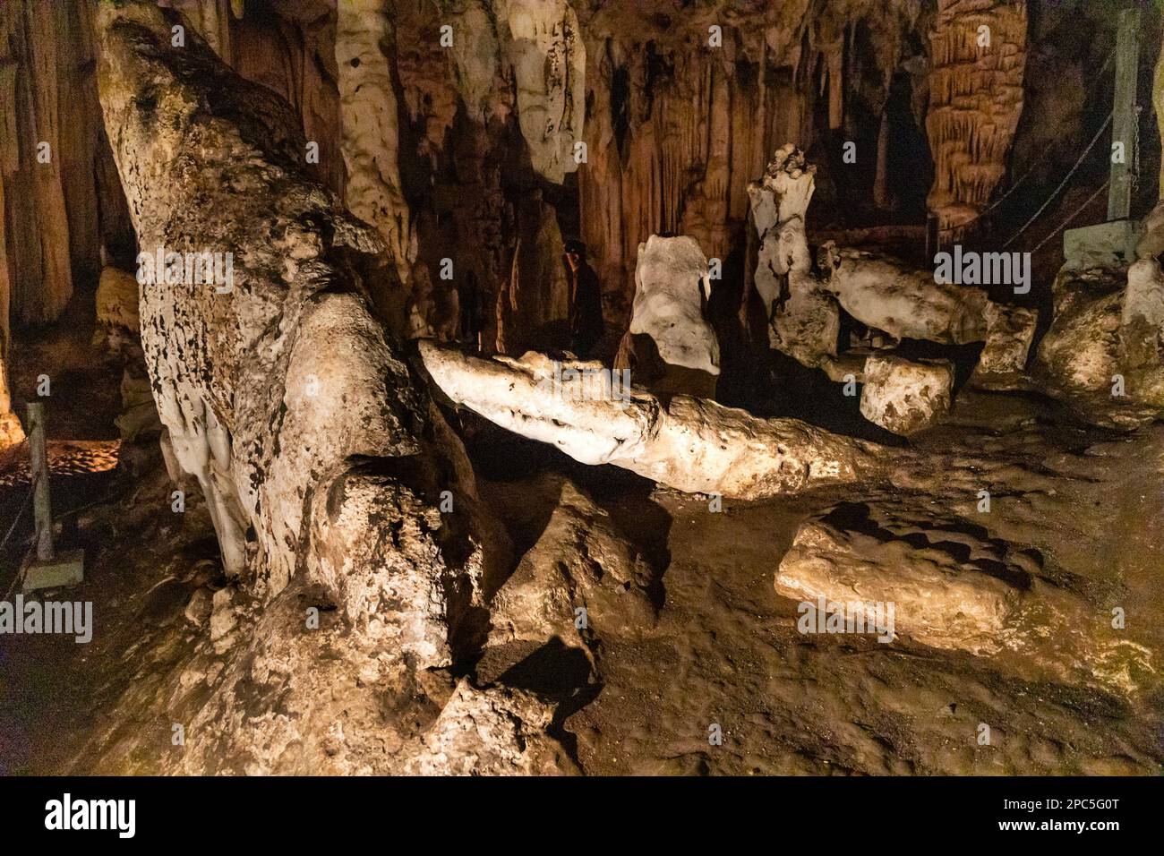 Crocodile look-alike formation in Tham Nam Lod caves in Mae Hong Son ...