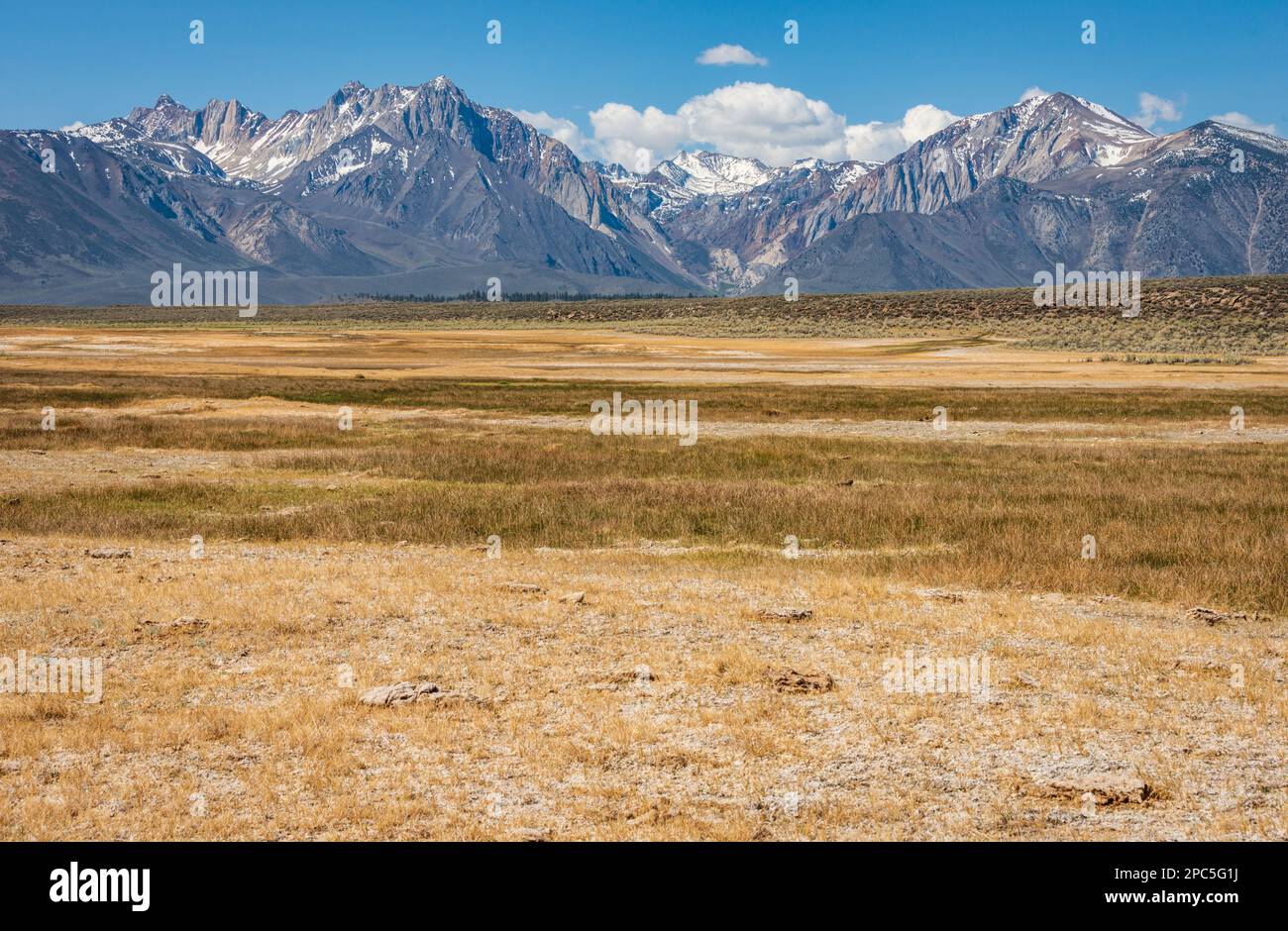 Mono-Inyo National Forest in California Stock Photo - Alamy