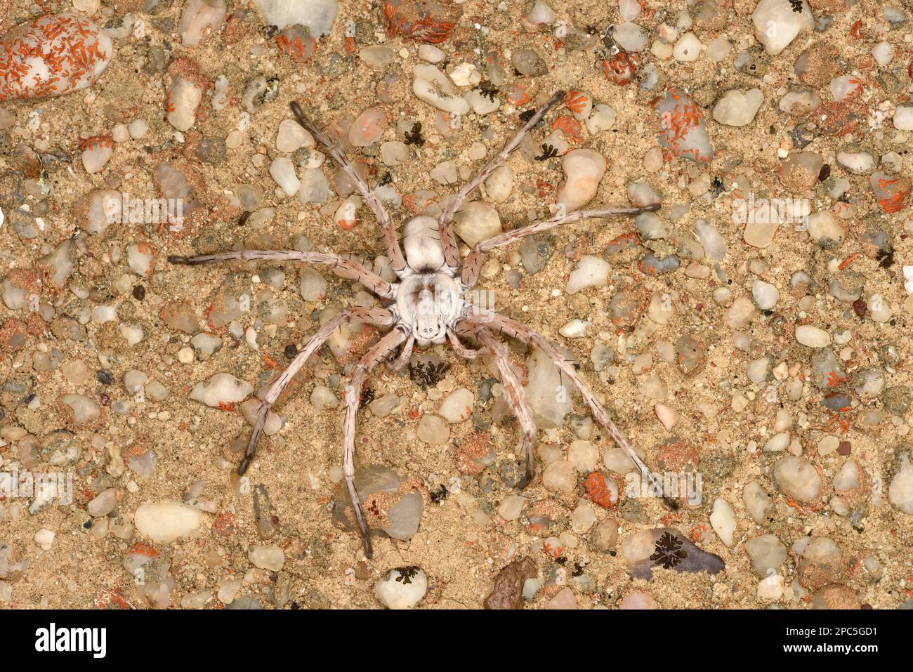 Rocky and sandy hi-res stock photography and images - Alamy