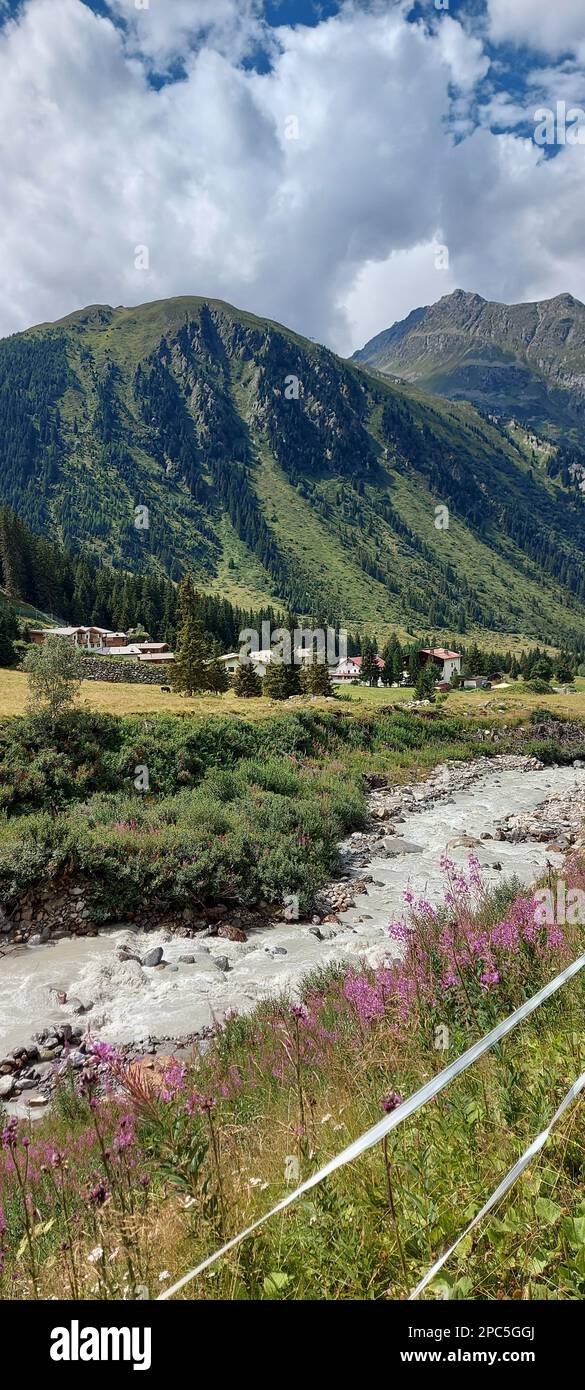 A small river flowing through a field of flowers with the mountains in ...