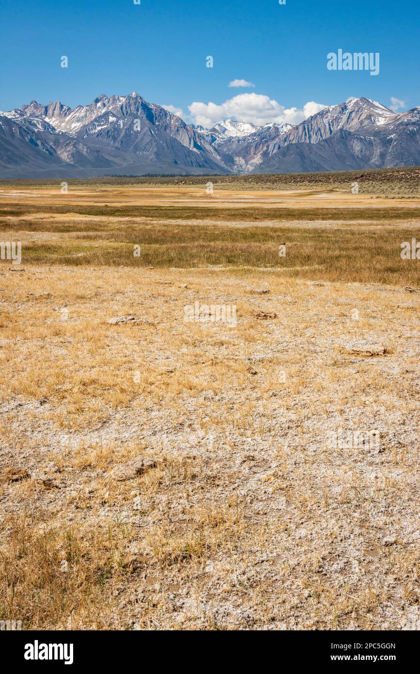 Mono-Inyo National Forest in California Stock Photo - Alamy