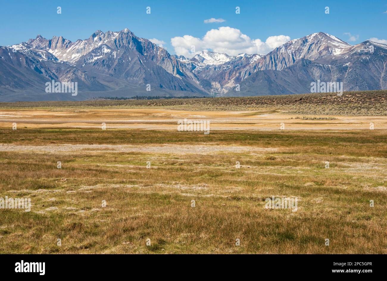 Mono-Inyo National Forest in California Stock Photo - Alamy