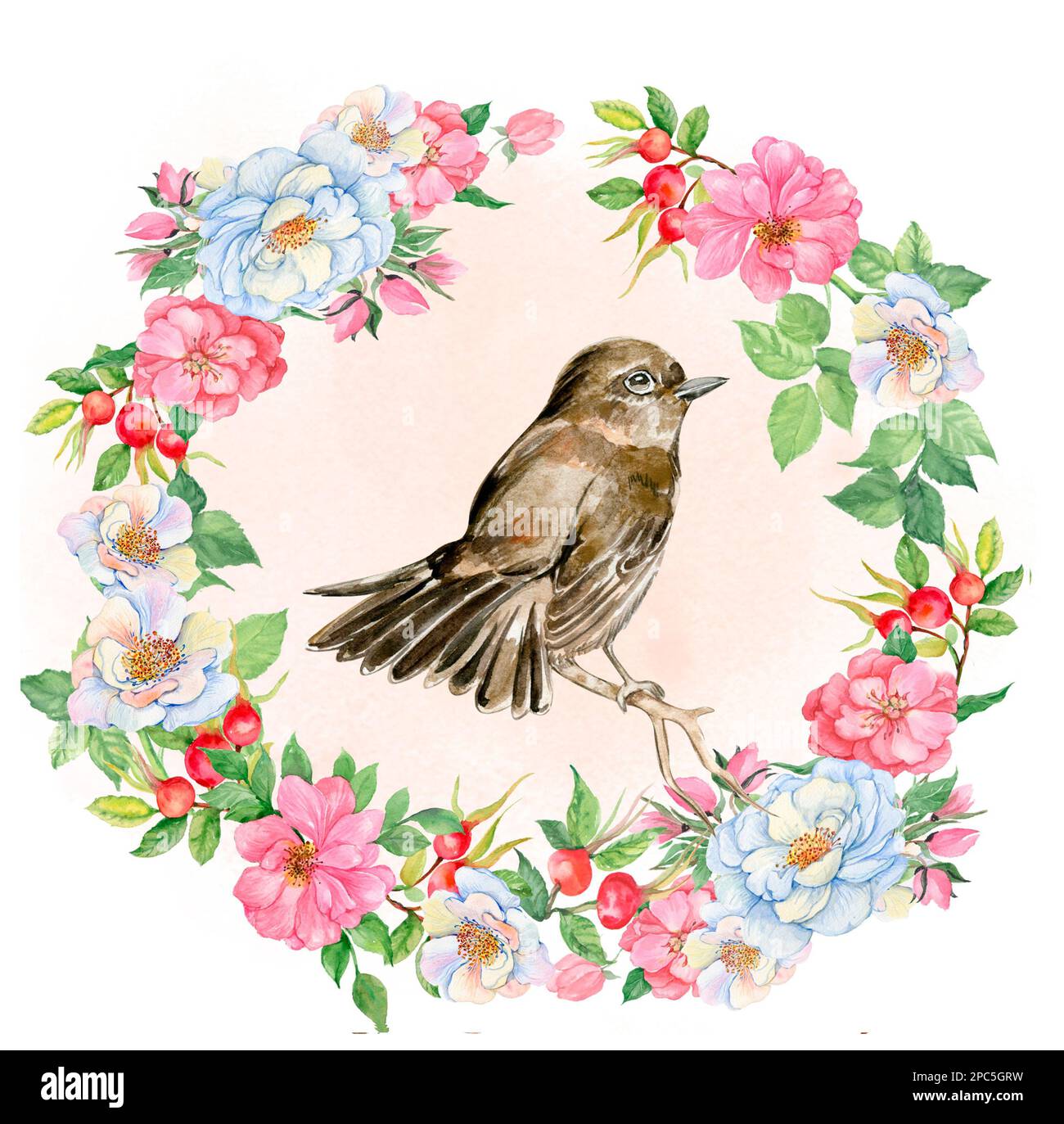 Blossom fauna Cut Out Stock Images & Pictures - Alamy