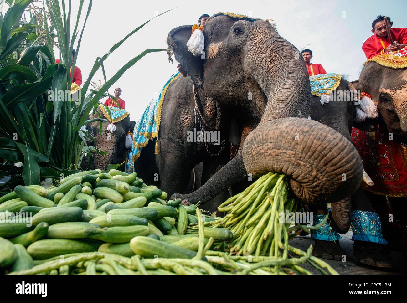 Ayutthaya, Thailand. 13th Mar, 2023. Elephants enjoy a "buffet" of ...