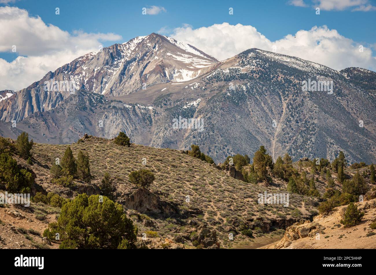 Mono-Inyo National Forest in California Stock Photo - Alamy