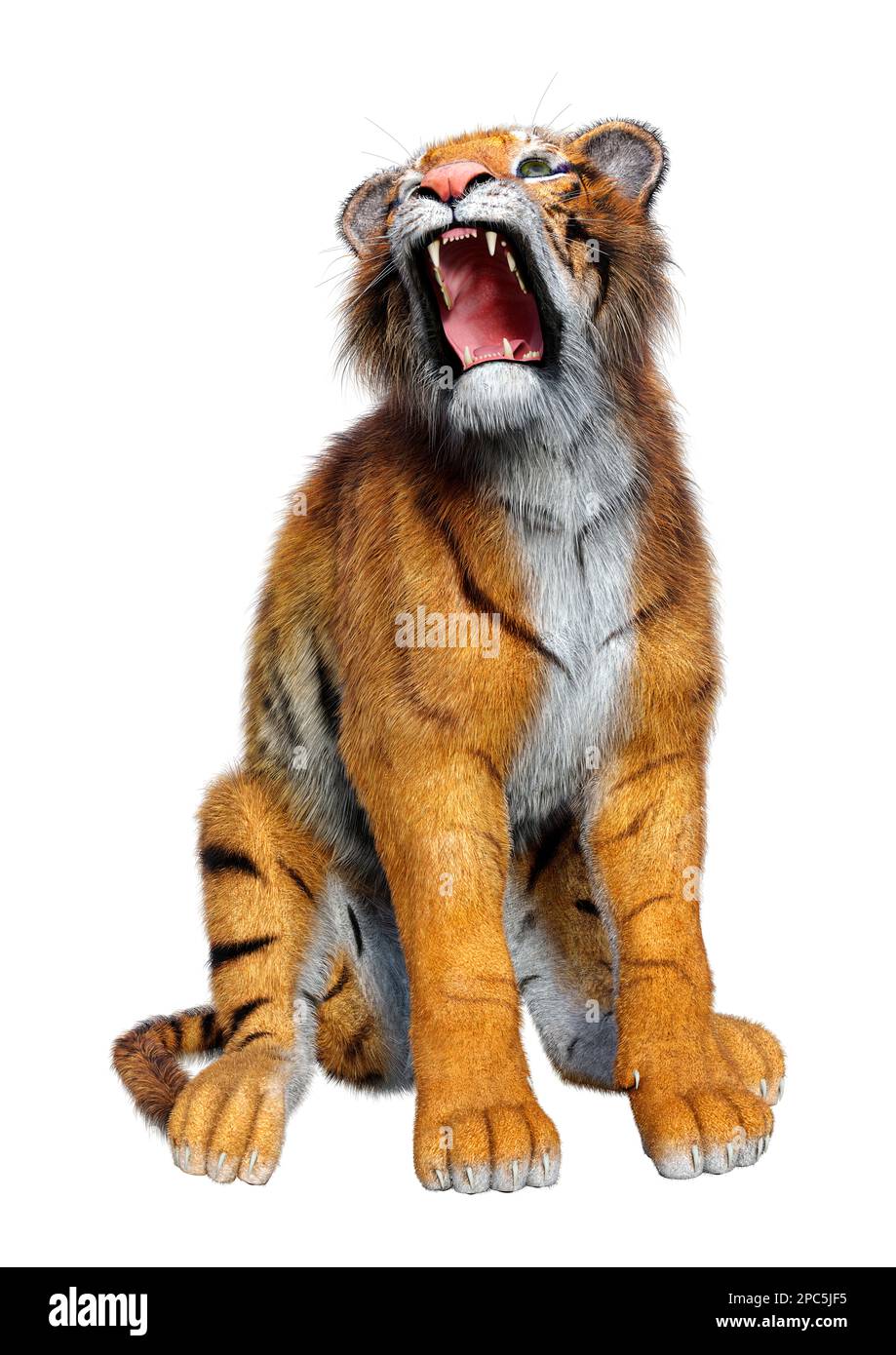 3D rendering of a big cat tiger isolated on white background Stock ...