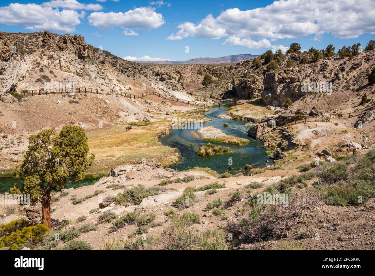 Mono-Inyo National Forest in California Stock Photo - Alamy