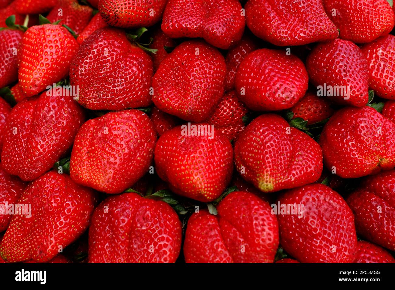 Strawberries background agriculture hi-res stock photography and images ...