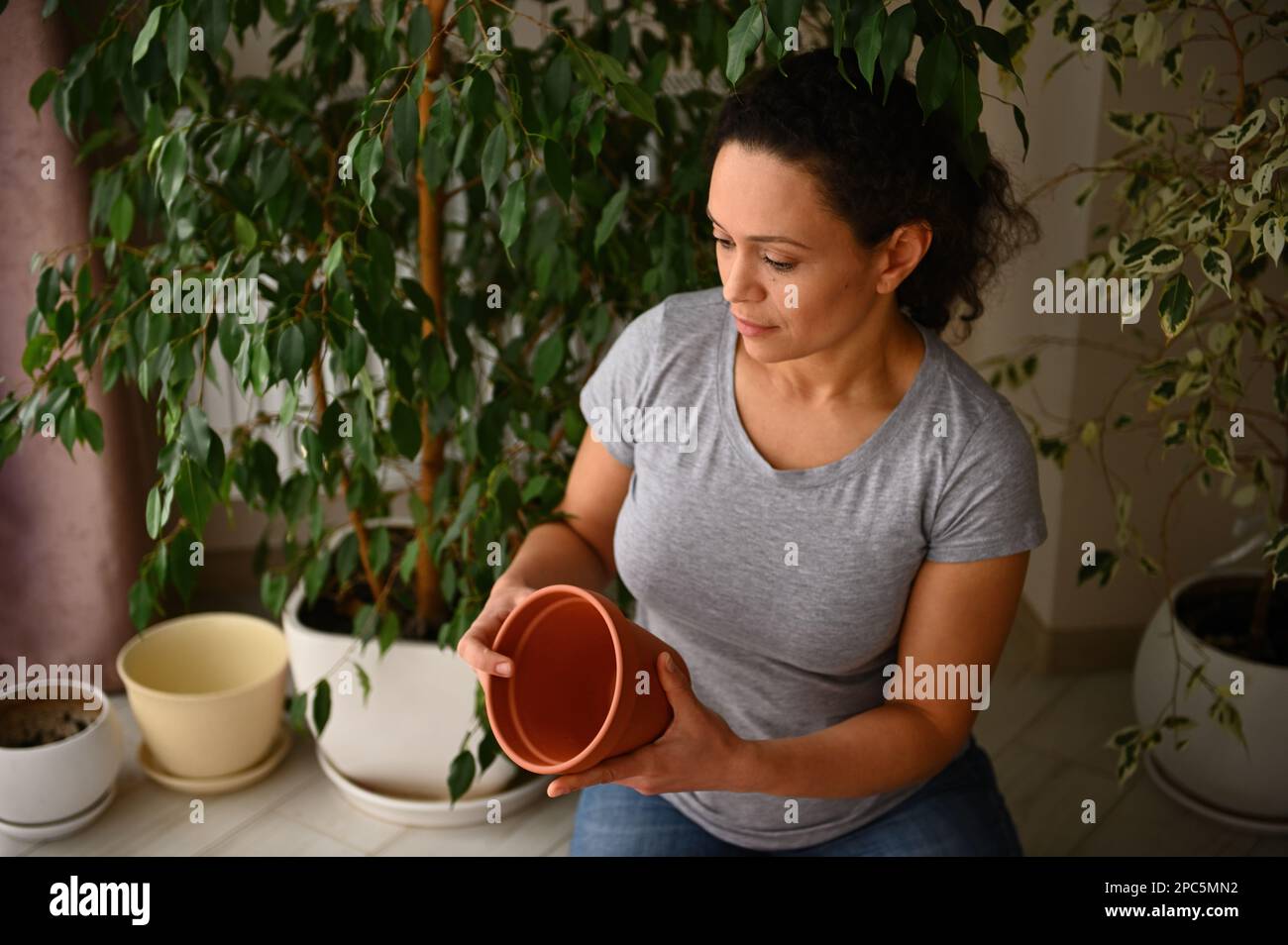 Beautiful multi-ethnic woman, amateur gardener floriculturist holding a ...