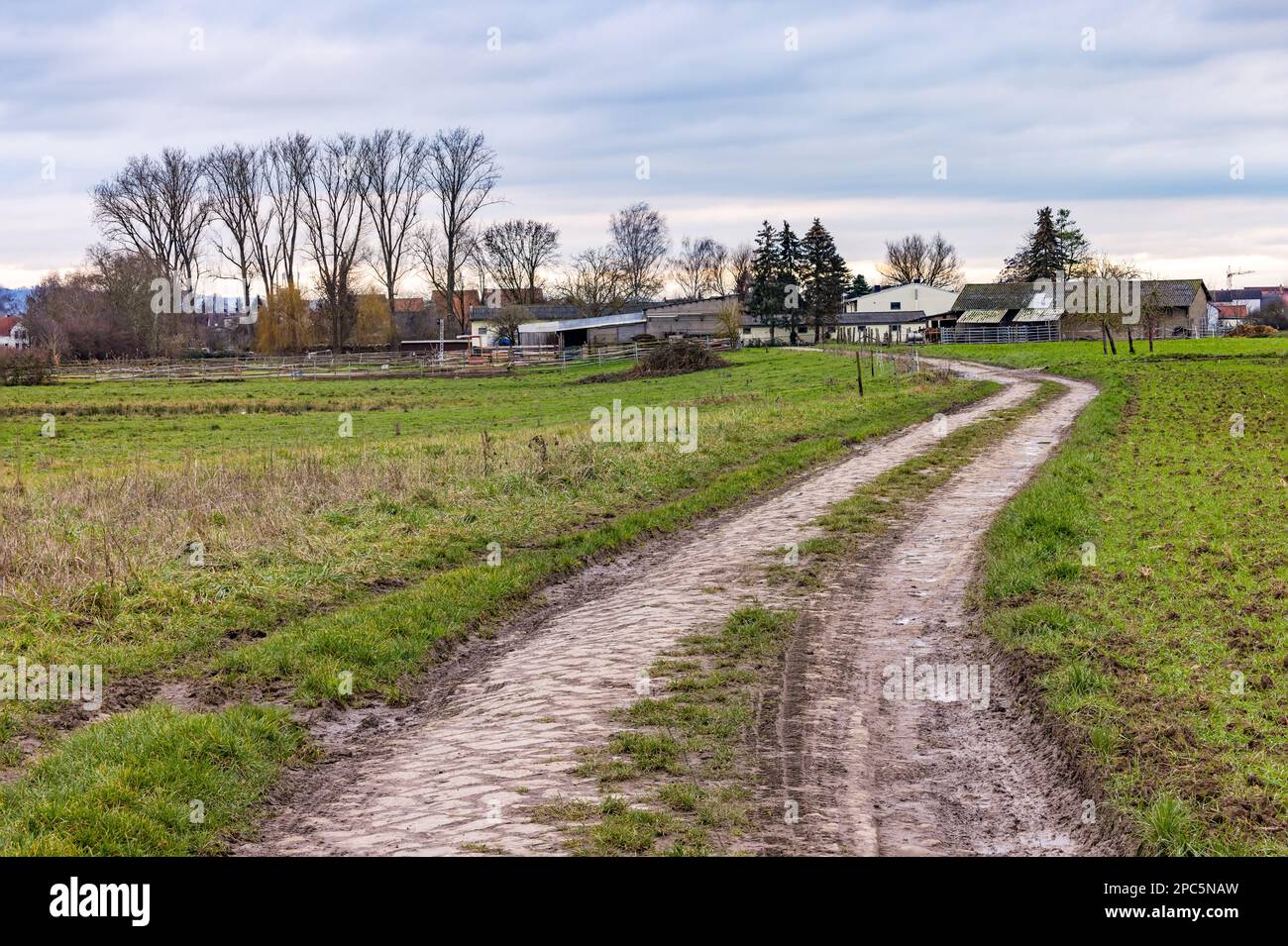 Rural idyll with dirt road, meadow and farm buildings in winter ...