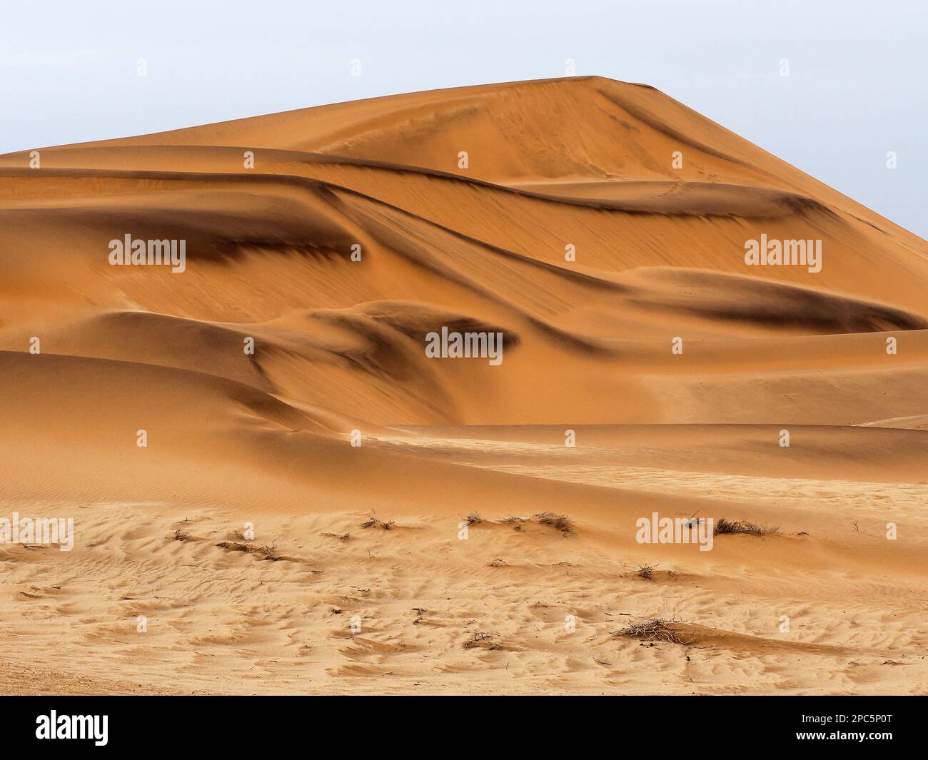 Patterns in Sand Dunes, Namibia, Africa Stock Photo - Alamy