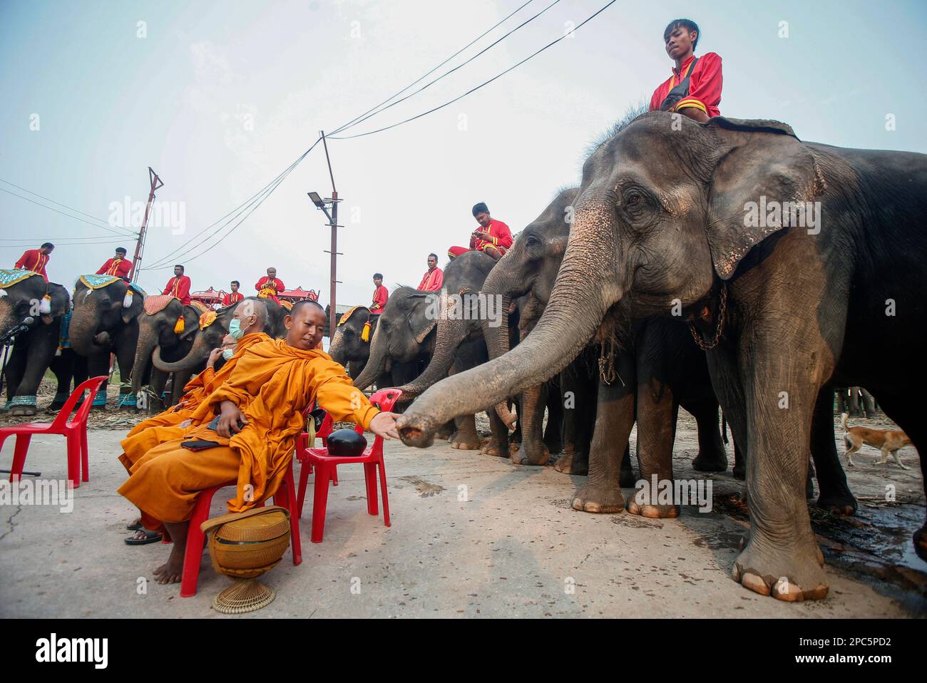 A Buddhist monk touches an elephant trunk during Thailand's national ...