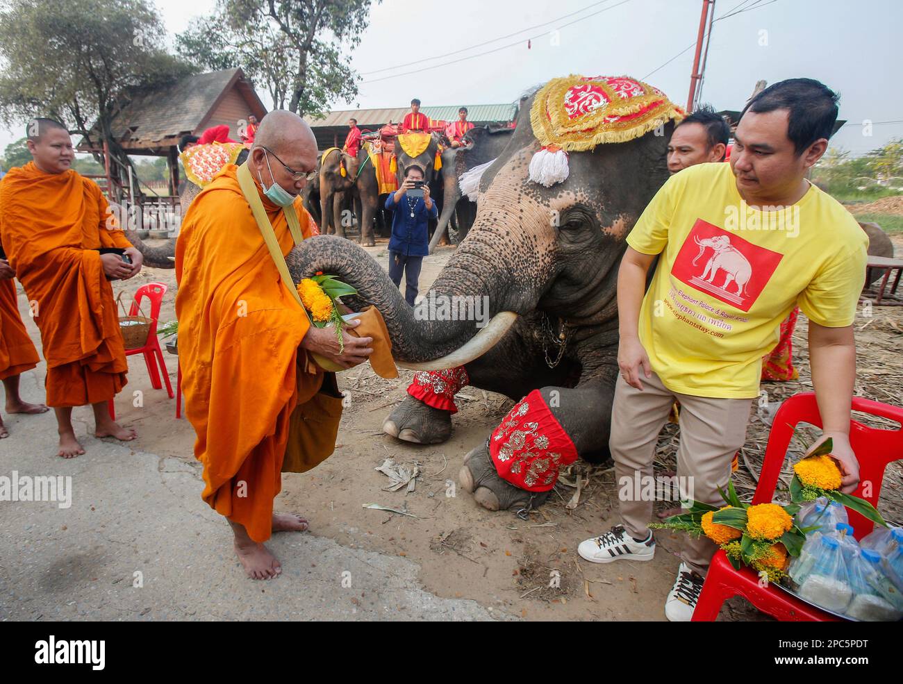 A Buddhist monk receives food from an elephant during Thailand's ...