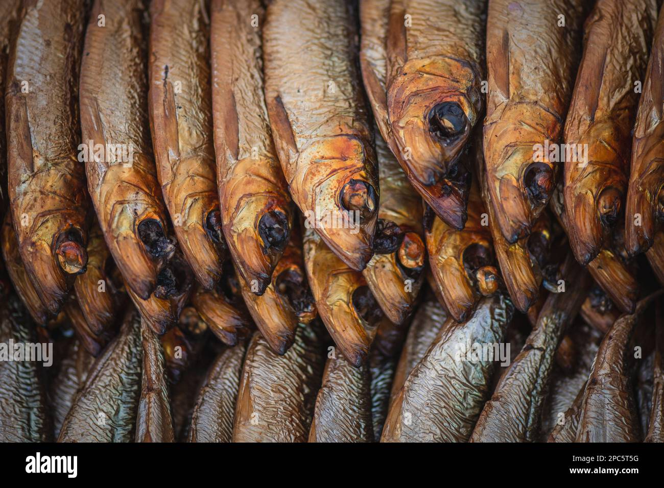 Dried smoked Atlantic or Baltic herrings, Clupea harengus, a herring in ...