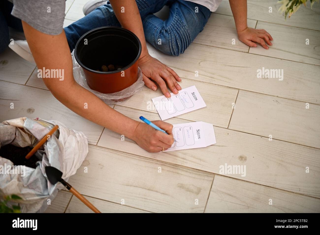 Top view woman puts marks on bags, sowing seeds in soil for growing ...