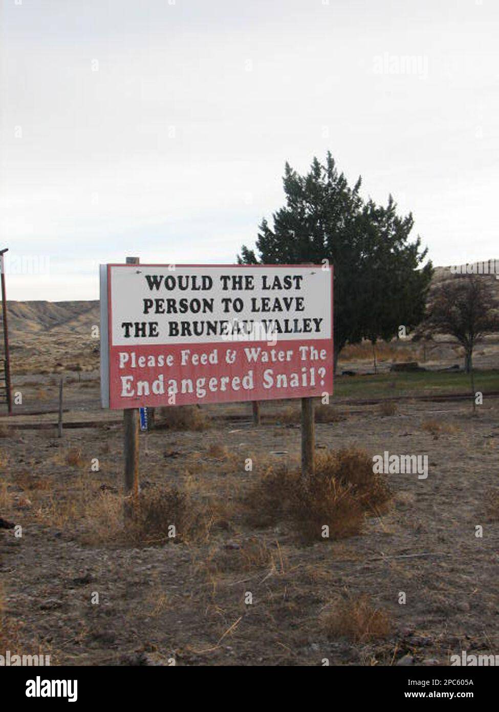 ** ADVANCE FOR DEC. 30-31 ** A sign testifying to the notoriety of the ...