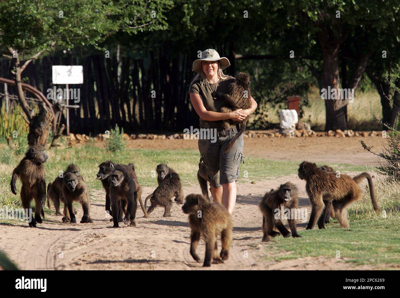 Marlice van Vuuren takes afternoon strolls in the bush with a troop of ...