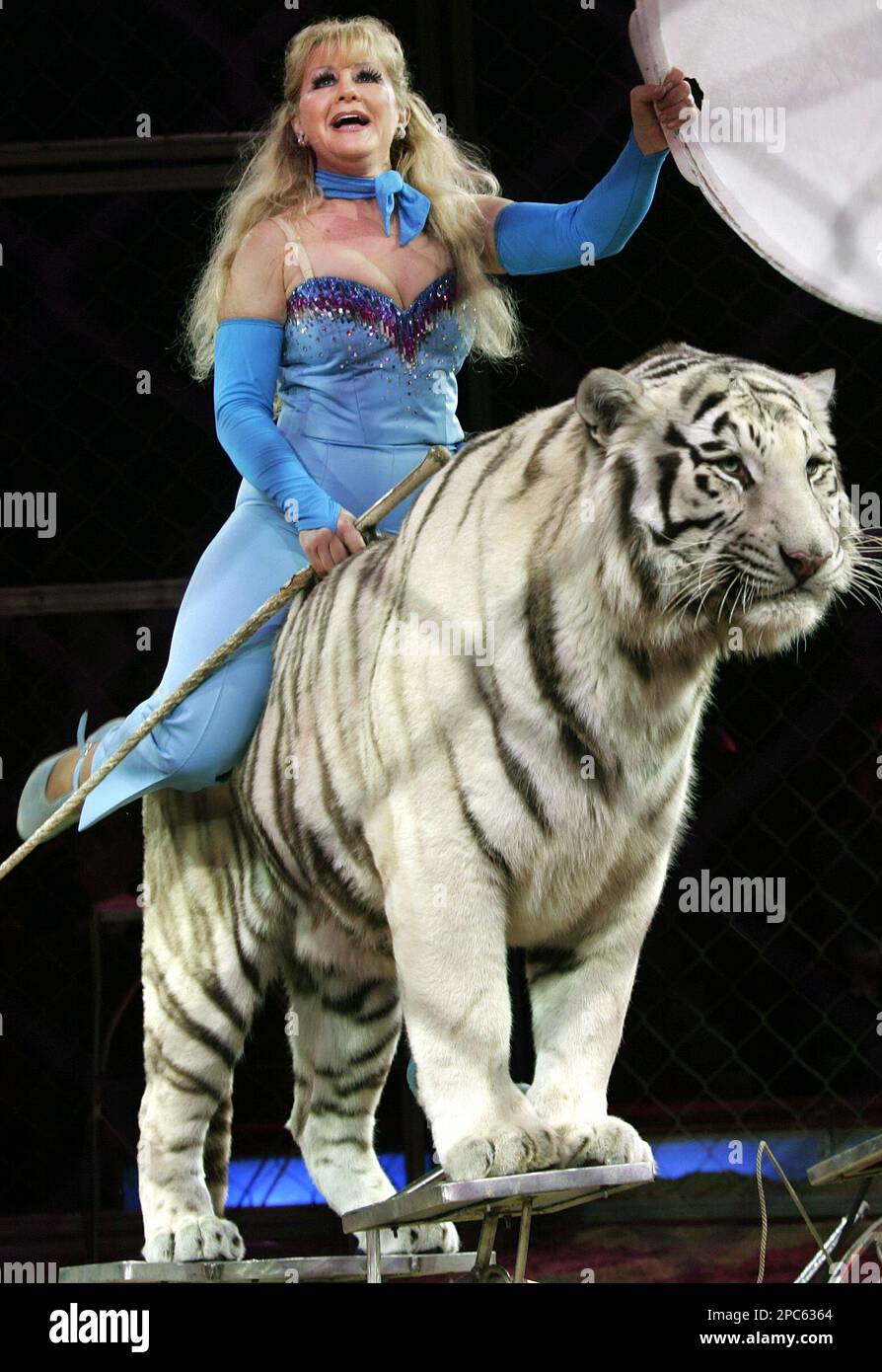 Trainer Susan Lacey rides one of her white tigers during her ...