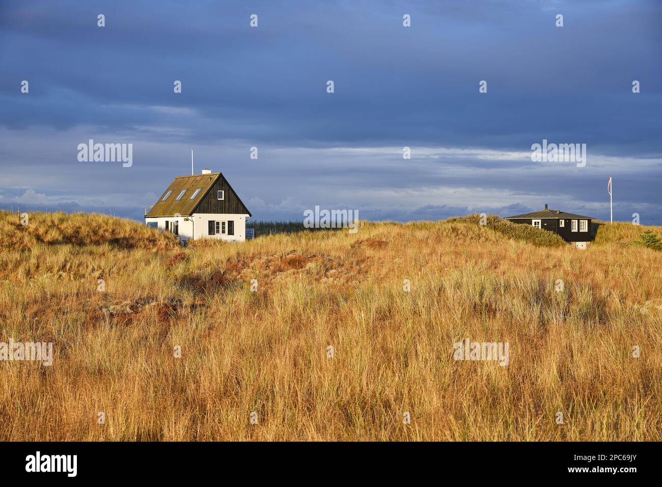 Summer cottages, Bratten Strand, North Jutland, Denmark Stock Photo - Alamy