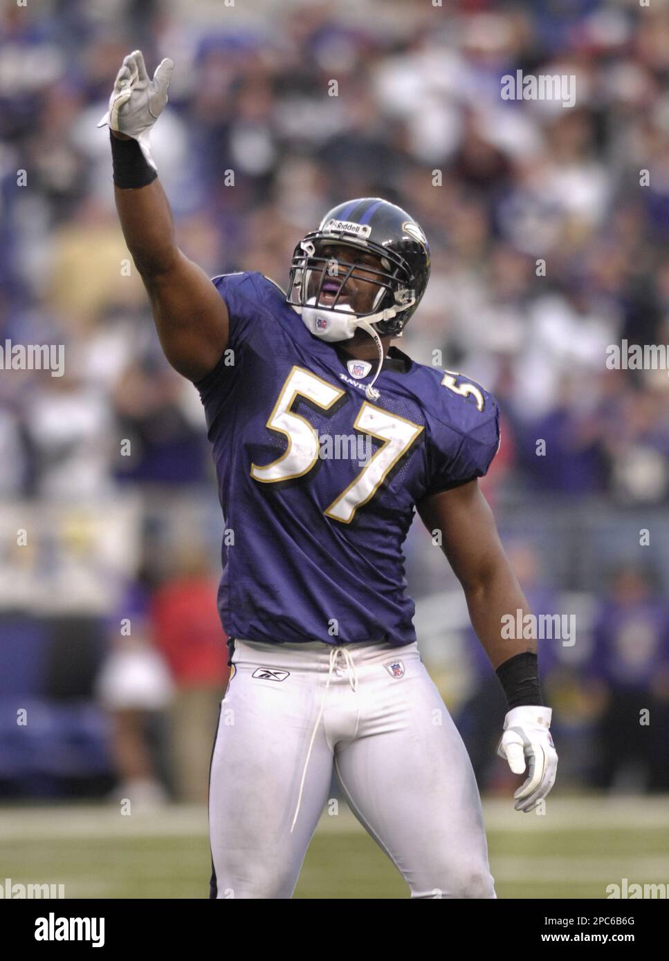 ** ADVANCE FOR WEEKEND EDITIONS, DEC. 22-25 ** FILE ** Baltimore Ravens ...
