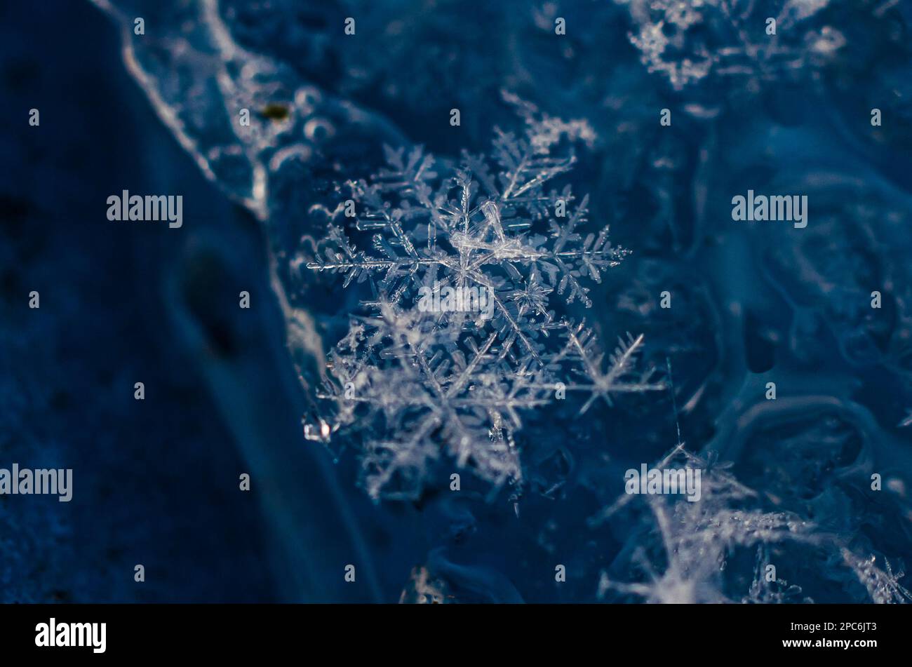 Real diamond hi-res stock photography and images - Alamy