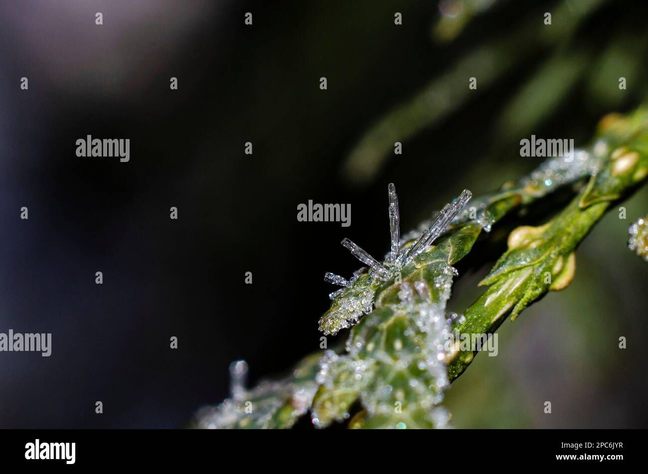 Ad frost hi-res stock photography and images - Alamy