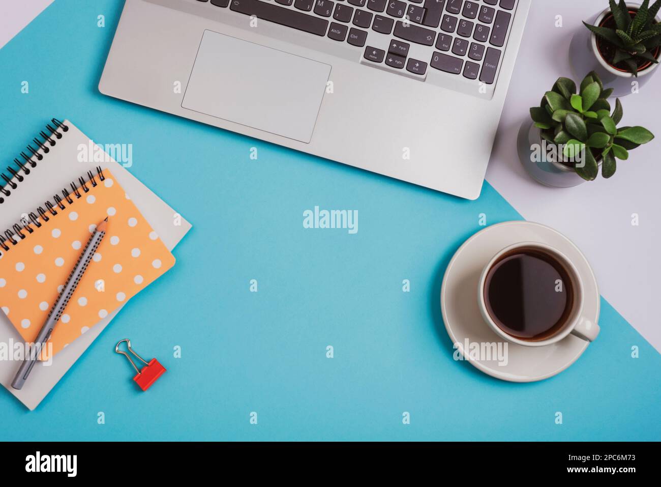 A cup of coffee, laptop computer, notepads, pencil and succulent plants ...