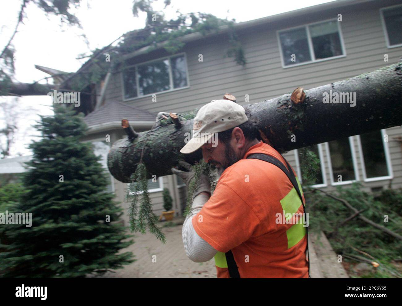 Arborist Wayne Yarbrough removes part of a tree Friday, Dec. 15, 2006 ...