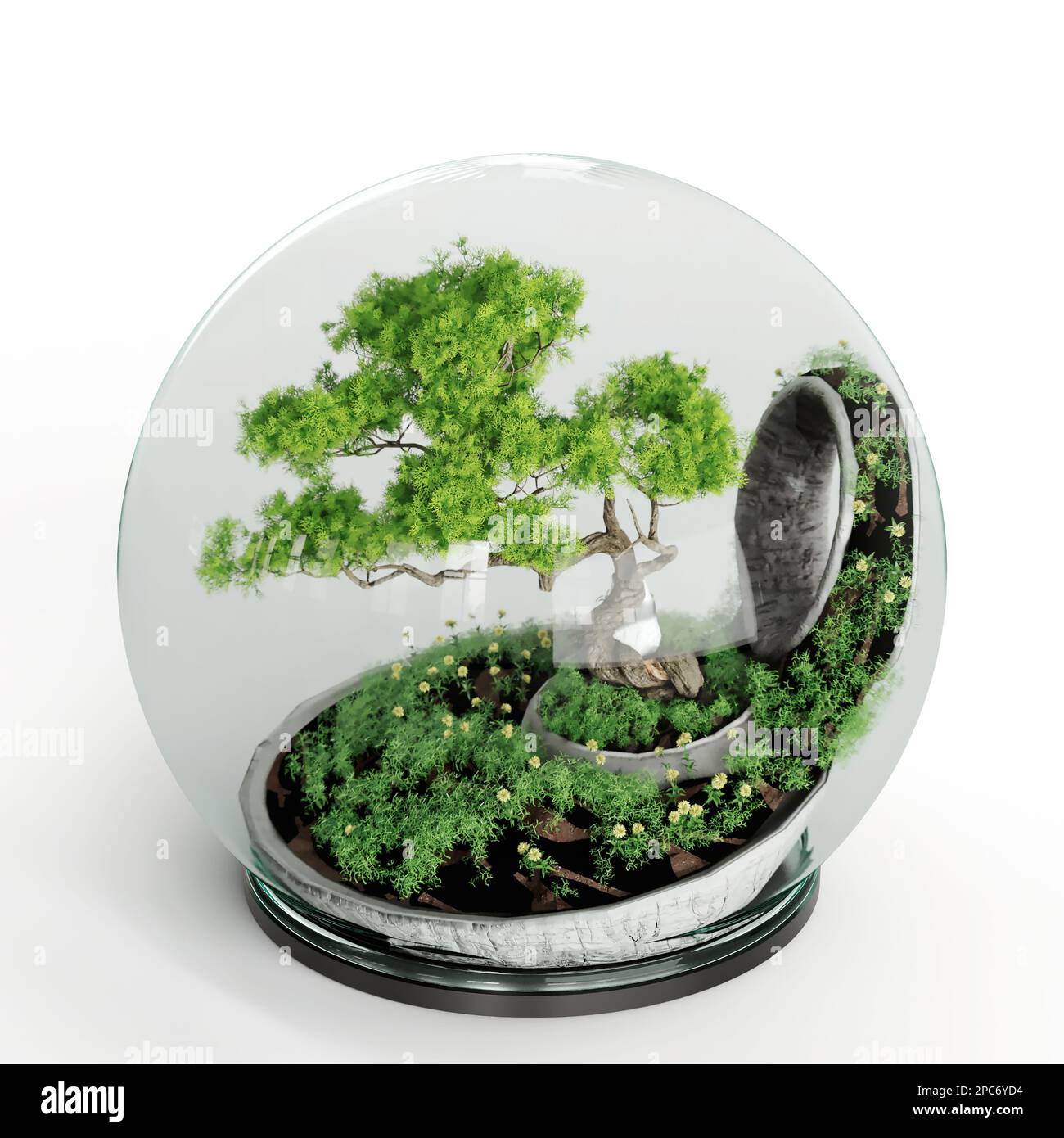 Closeup glass sphere tree inside 3D rendering Stock Photo - Alamy