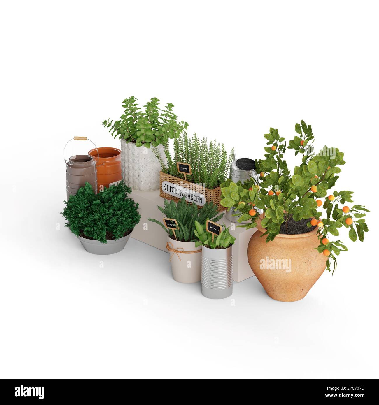 Vibrant blooms assorted potted plants 3D rendering Stock Photo - Alamy