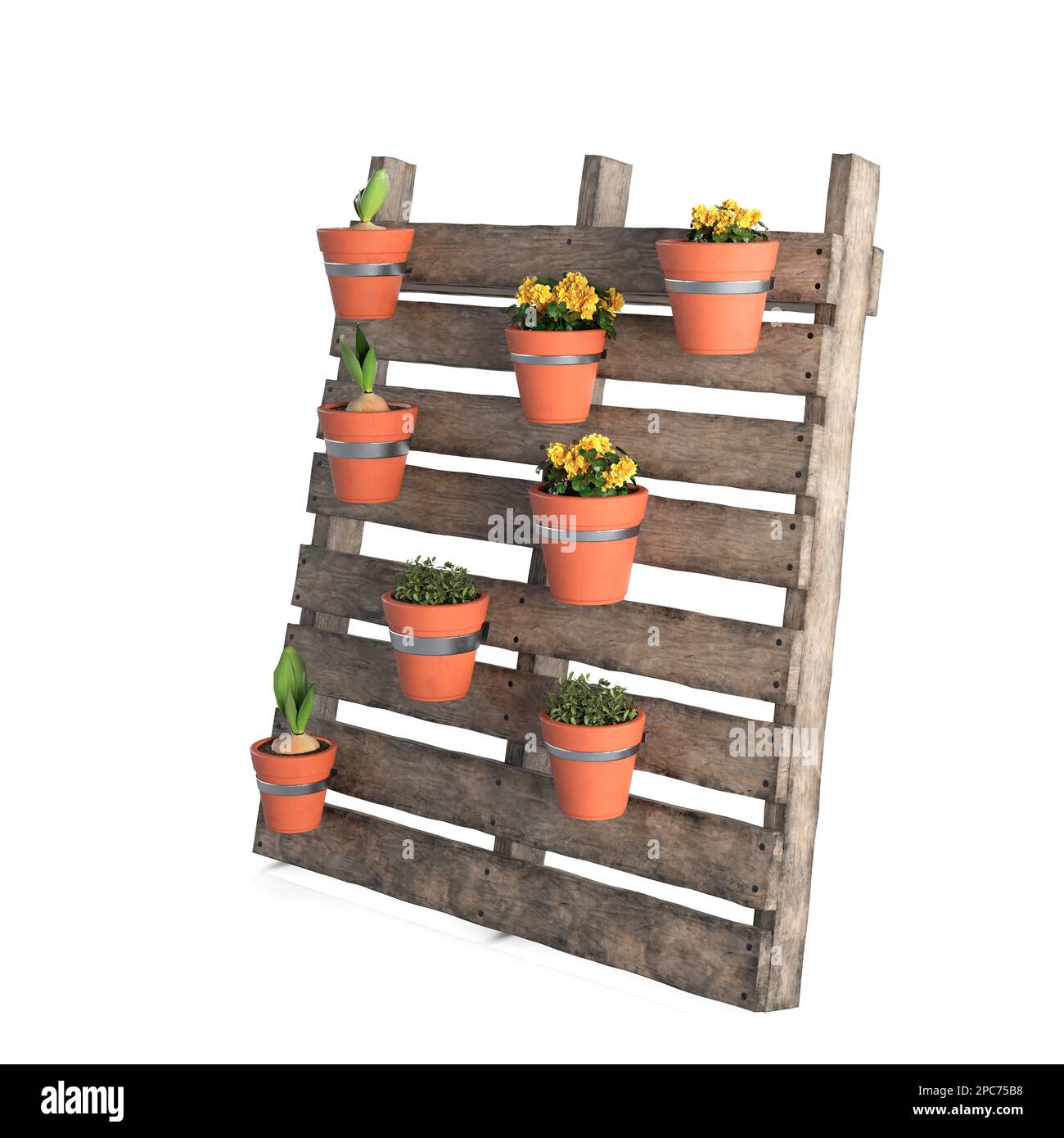 Wooden rack holds potted plants 3D rendering home decor interior design ...
