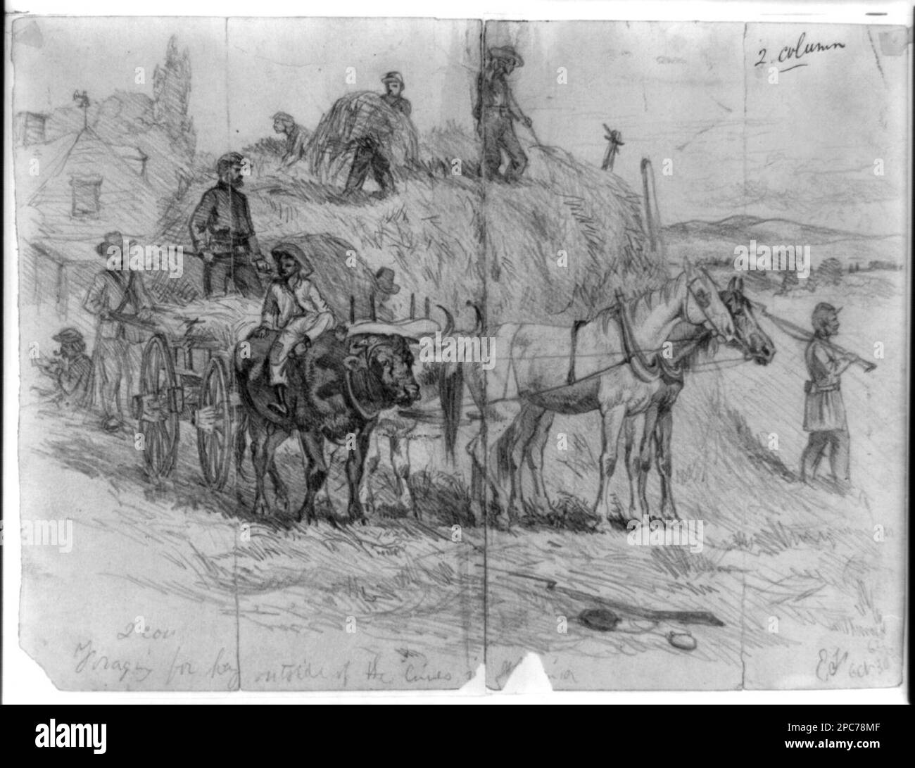 Foraging for supplies hi-res stock photography and images - Alamy