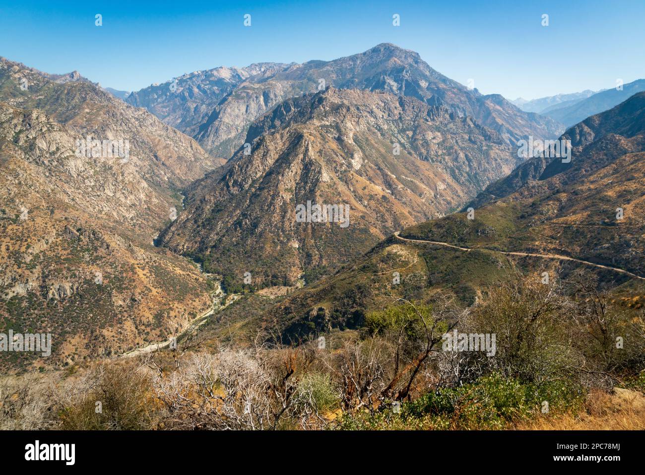 Giant Sequoia National Monument, California Stock Photo - Alamy