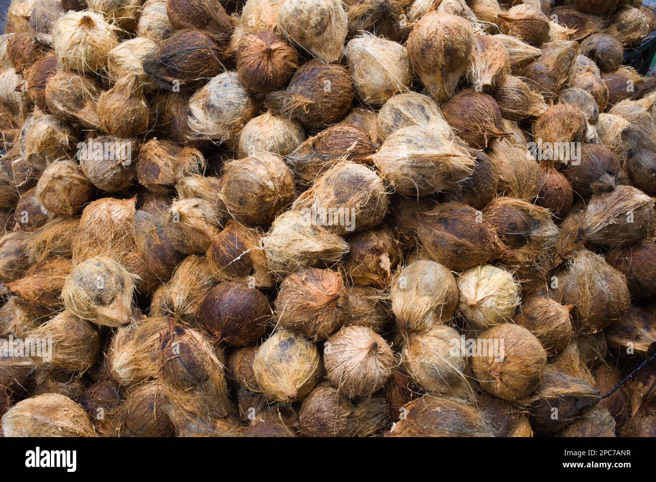Malaysia, Kuala Lumpur, Chow Kit Market, coconuts Stock Photo - Alamy