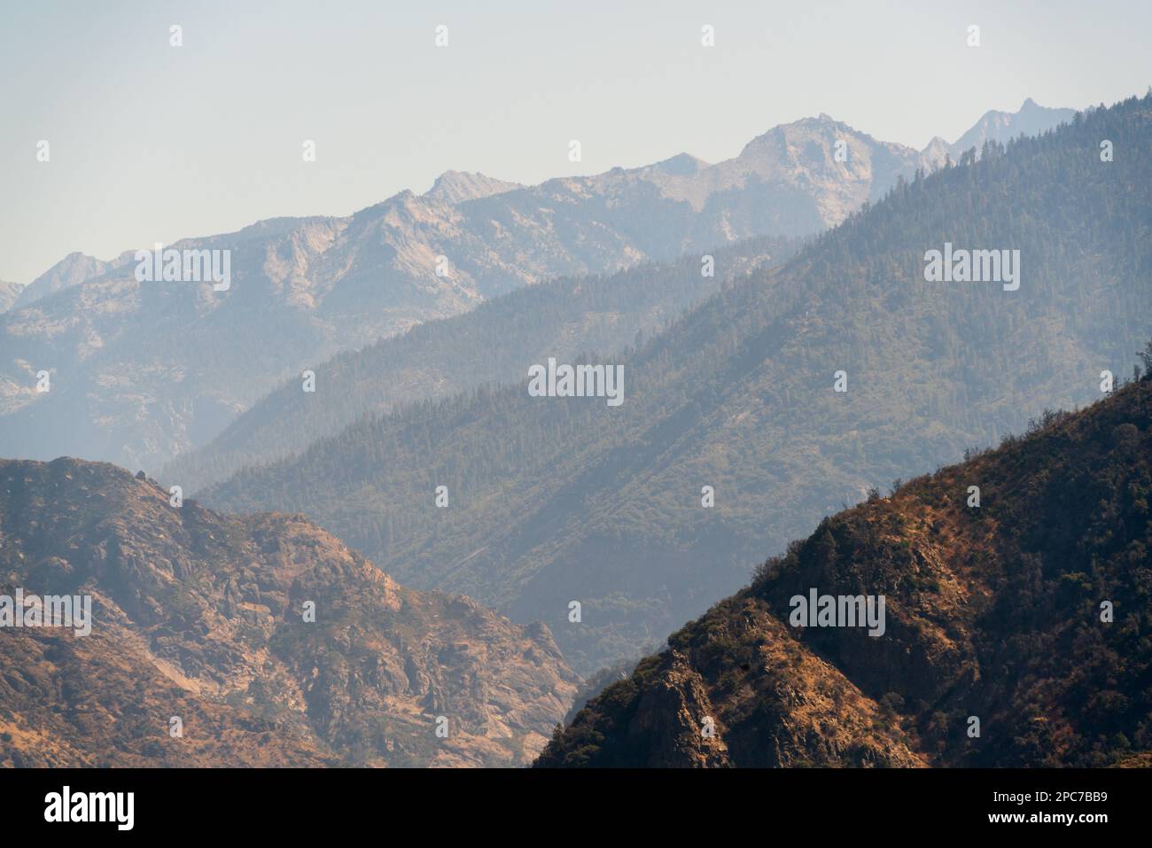 Giant Sequoia National Monument, California Stock Photo - Alamy