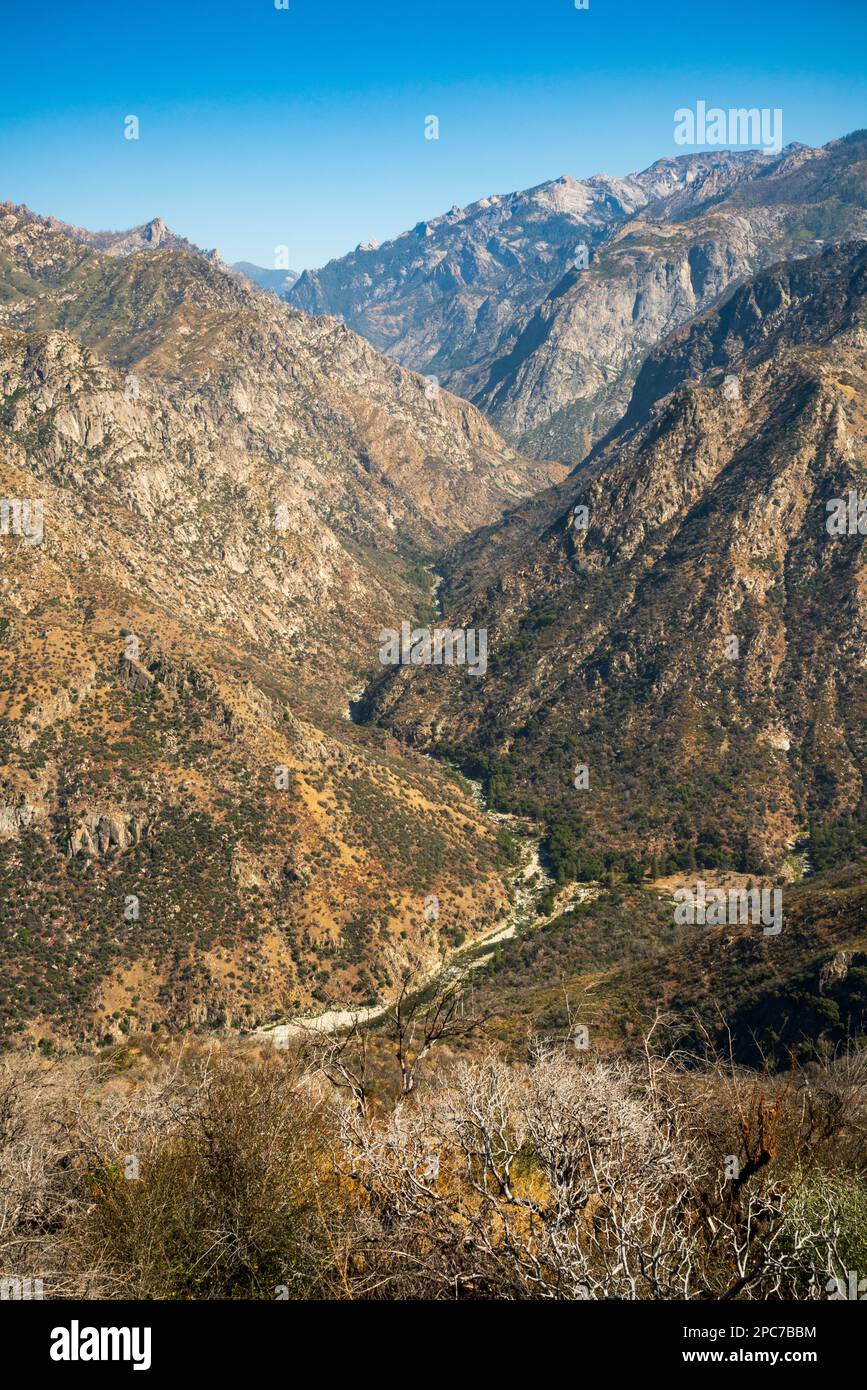 Giant Sequoia National Monument, California Stock Photo - Alamy