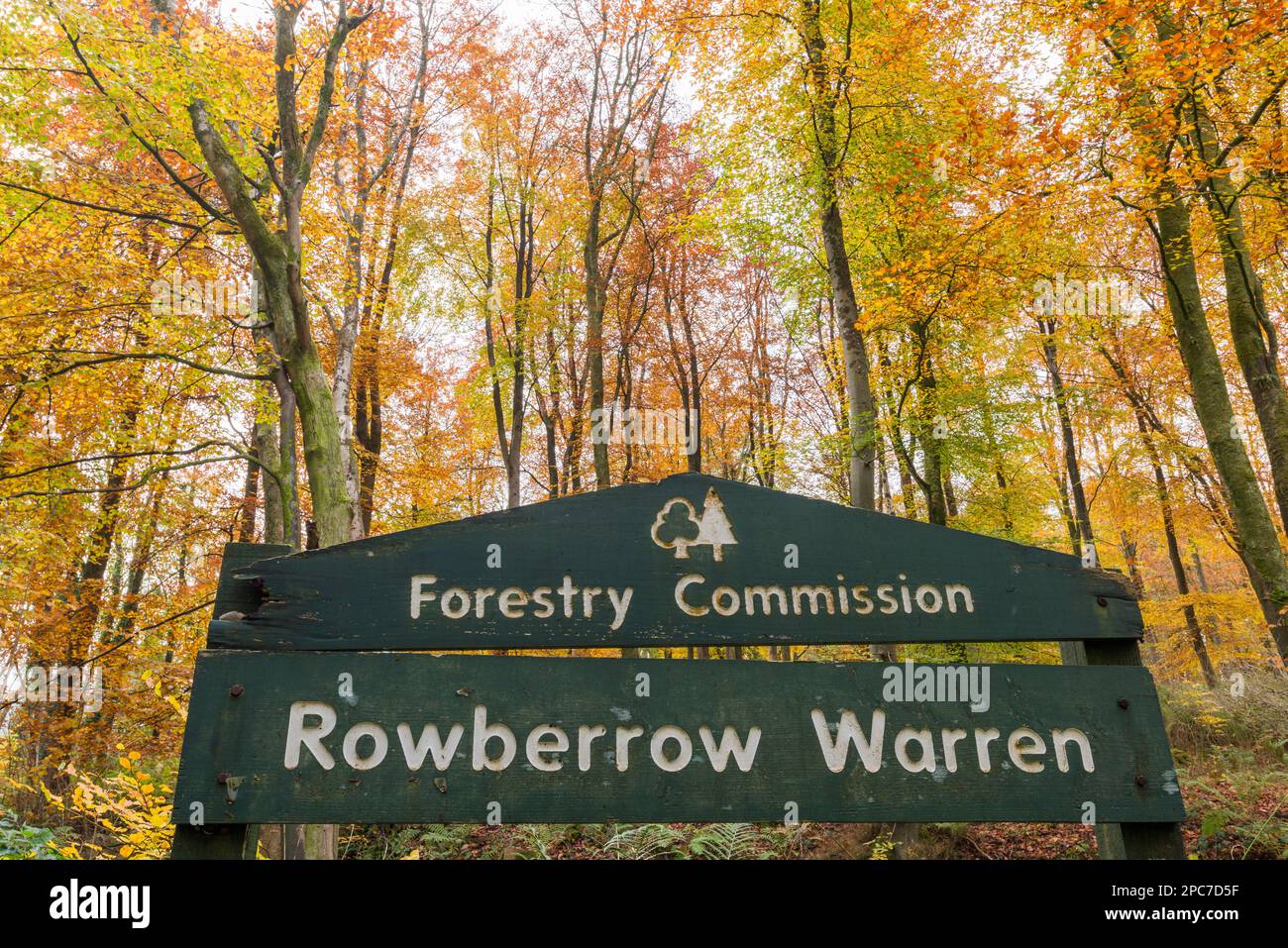 Forestry commission hi-res stock photography and images - Alamy