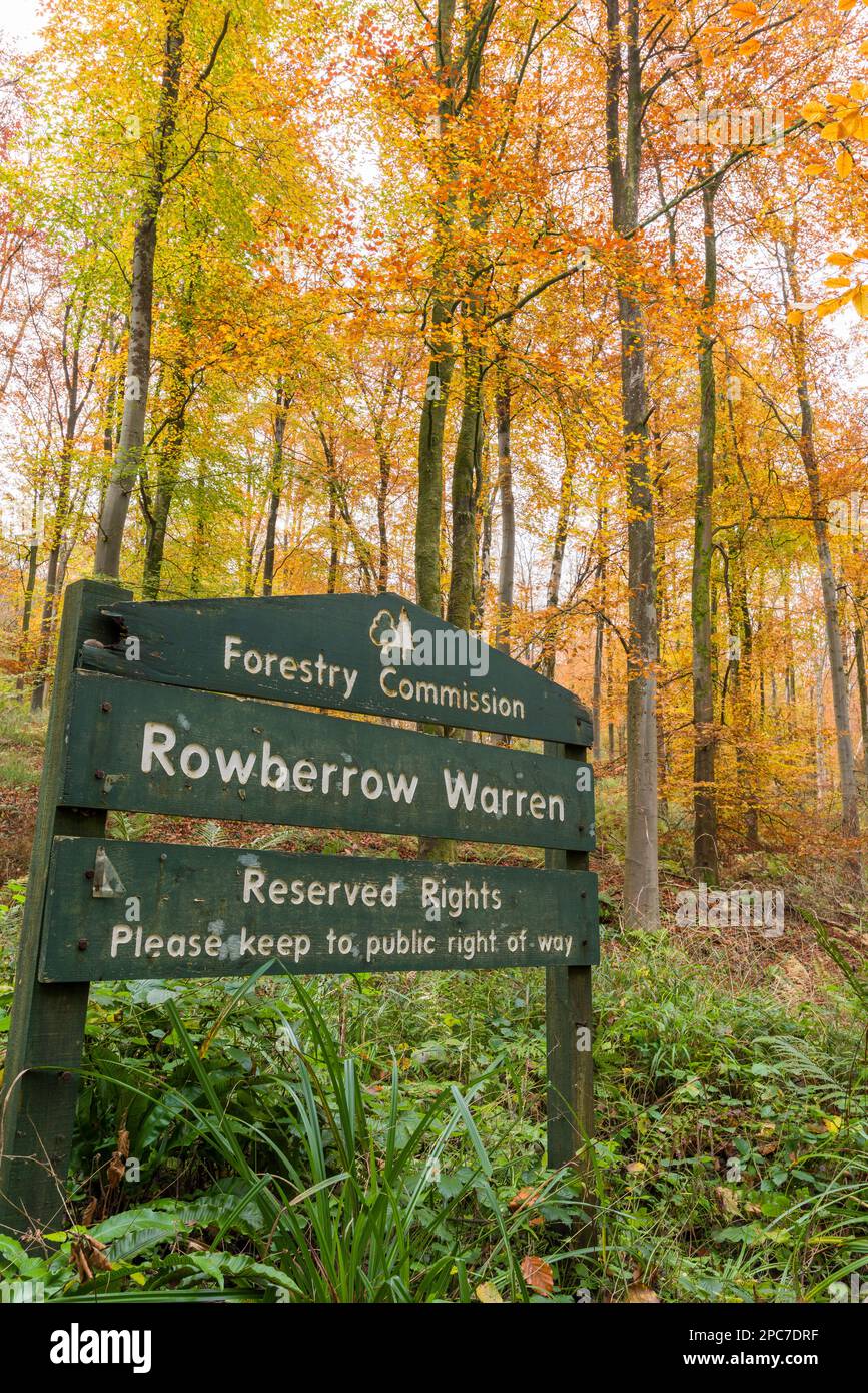 Forestry commission hi-res stock photography and images - Alamy