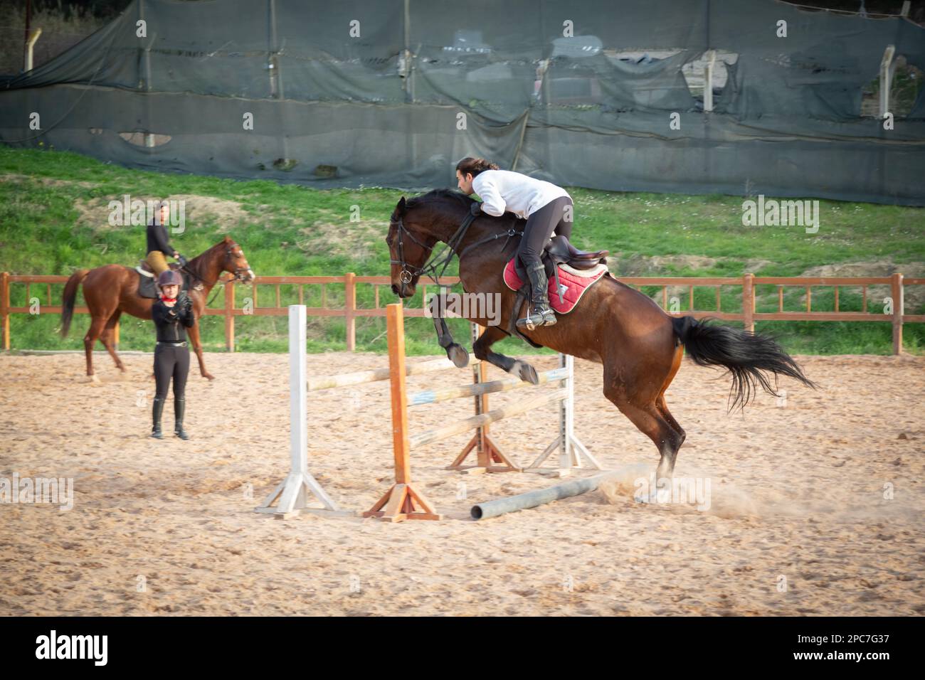The Thrill of Equestrian Sports: Man and Horse Jumping in Perfect Sync ...