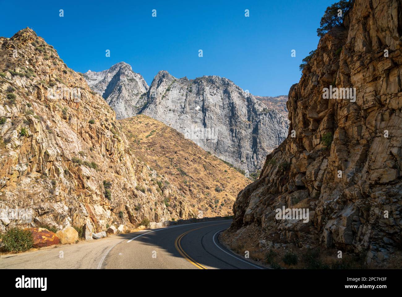 Giant Sequoia National Monument, California Stock Photo - Alamy